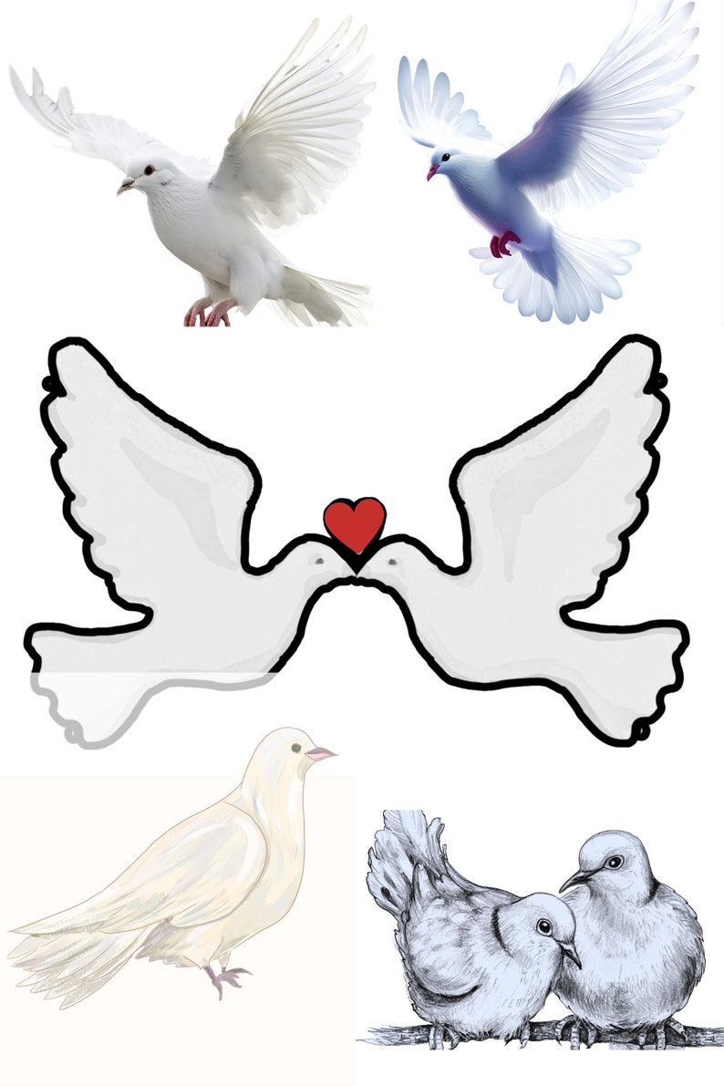 Dove Digital Files Bundle in PNG, SVG, JPG | Peaceful Bird Design for ...