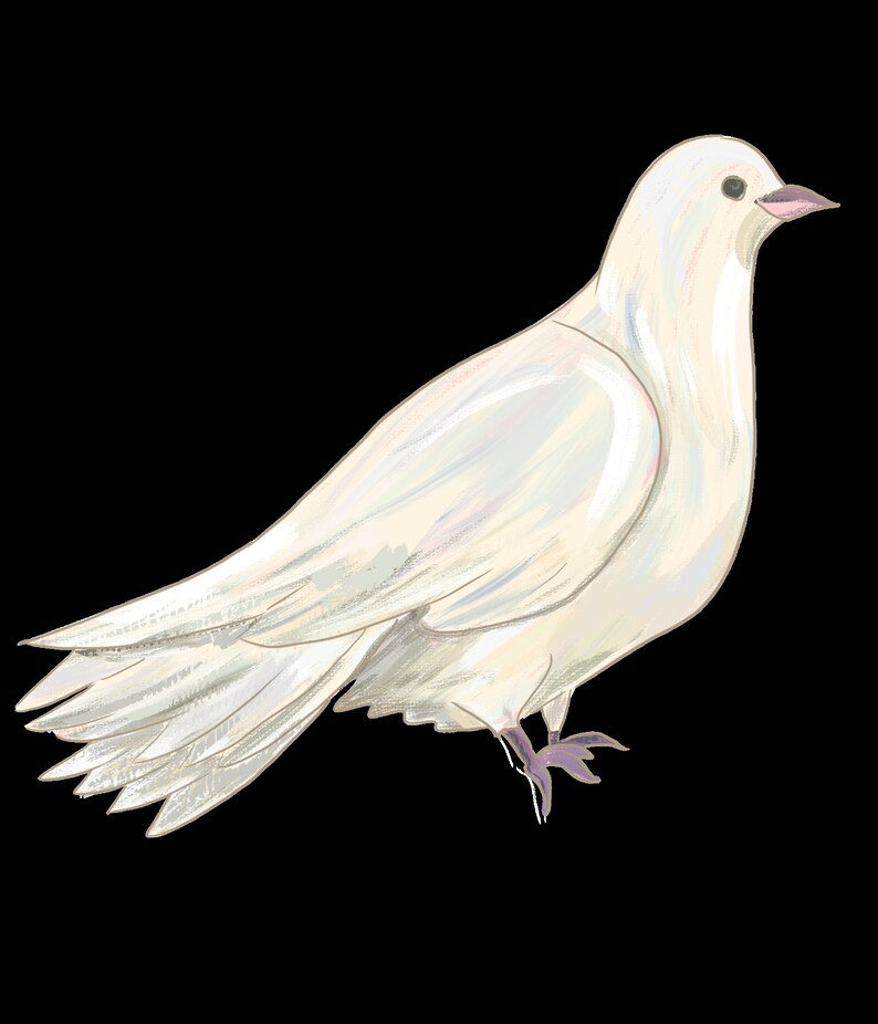 Dove Digital Files Bundle in PNG, SVG, JPG | Peaceful Bird Design for ...