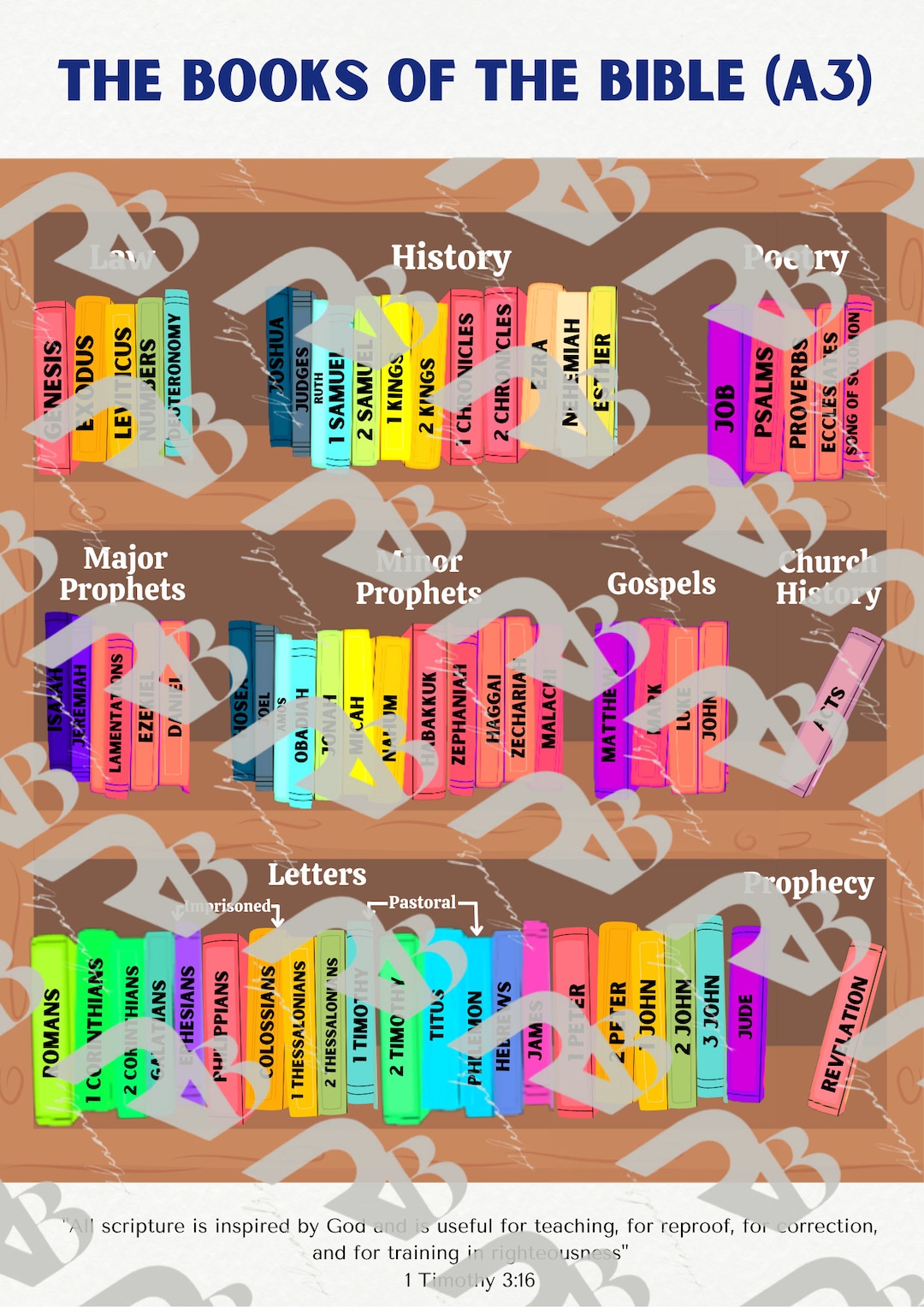 Books of the Bible Poster A3 - Etsy