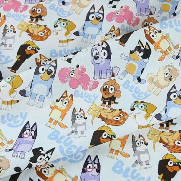 Bluey bingo fabric - Etsy France