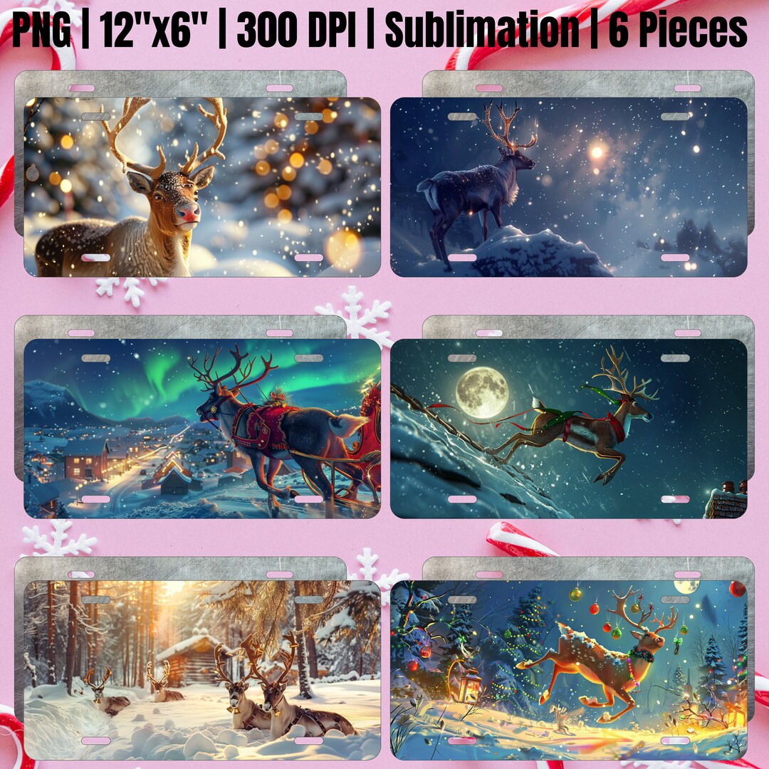 License Plate Bundle, License Plate PNG, Christmas License, Christmas ...