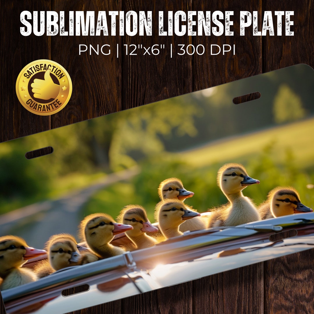 License Plate PNG, License Plate Design, Duck License Plate, Front ...
