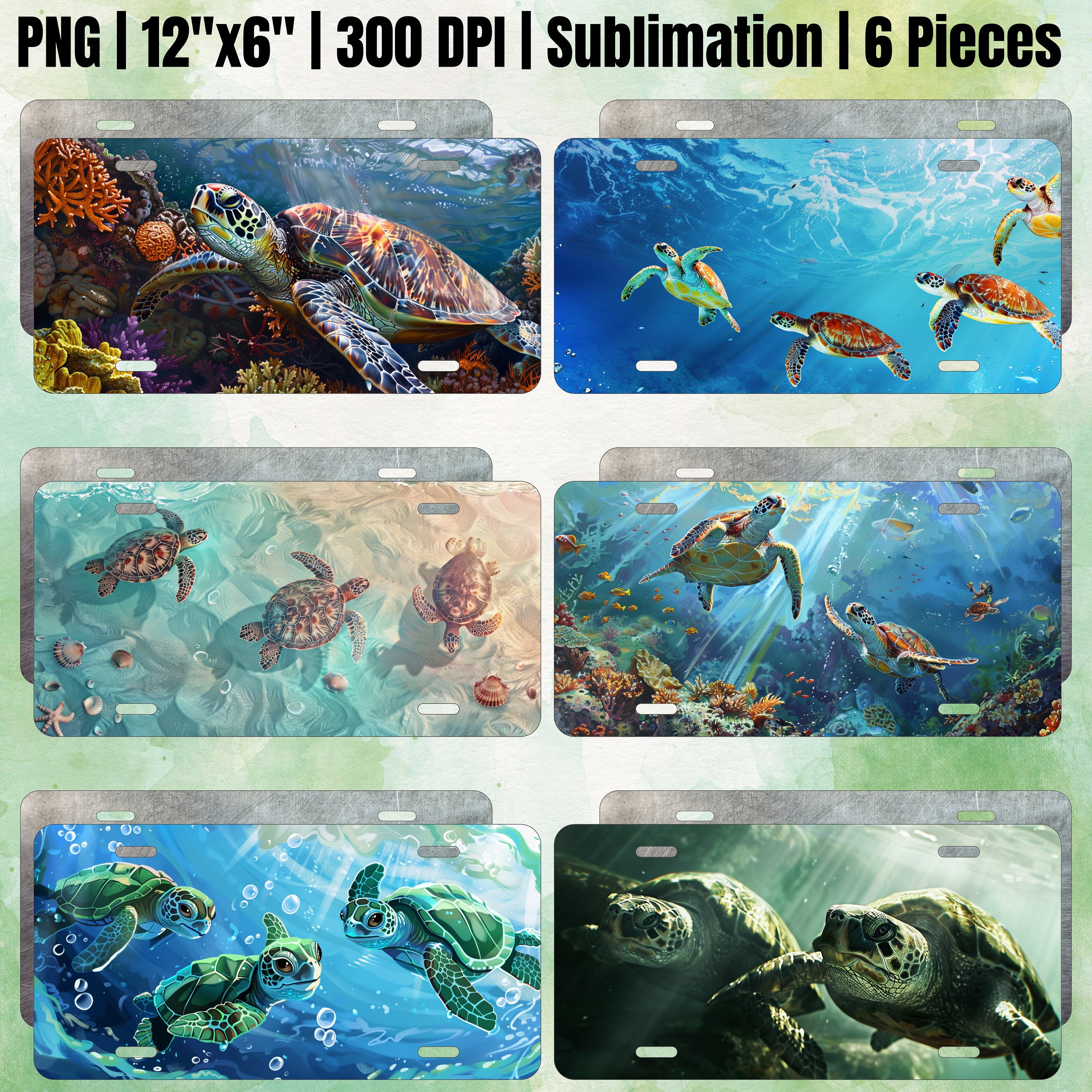 License Plate PNG, License Plate Design, Sea Turtle PNG, Front License ...