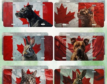 License Plate PNG, License Plate Design, American Flag PNG, Front ...