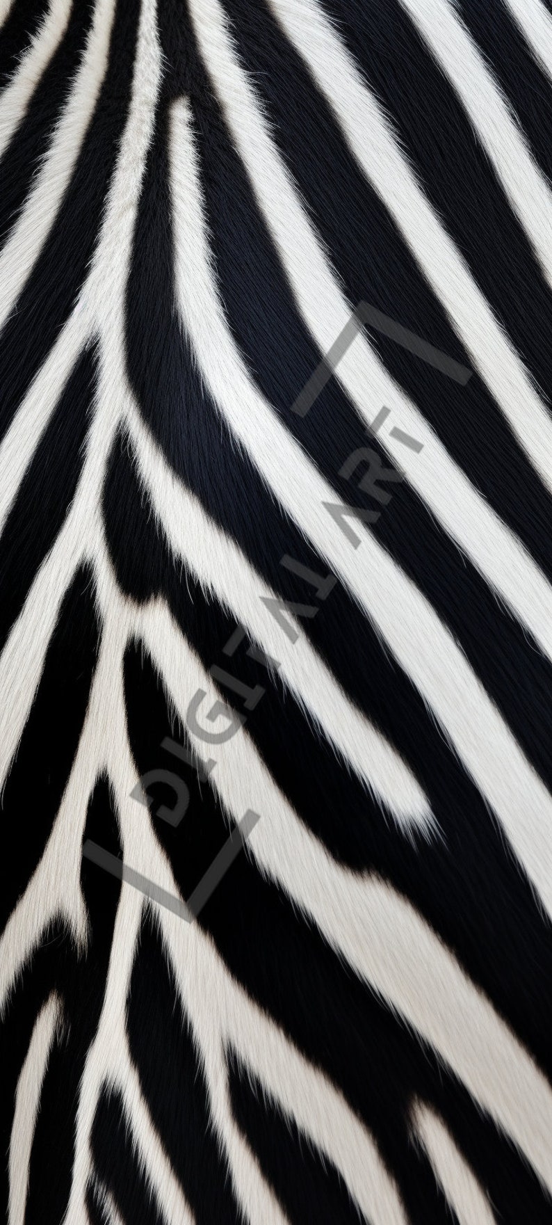 Zebra Backgrounds for Screens Black and White Wallpapers - Etsy