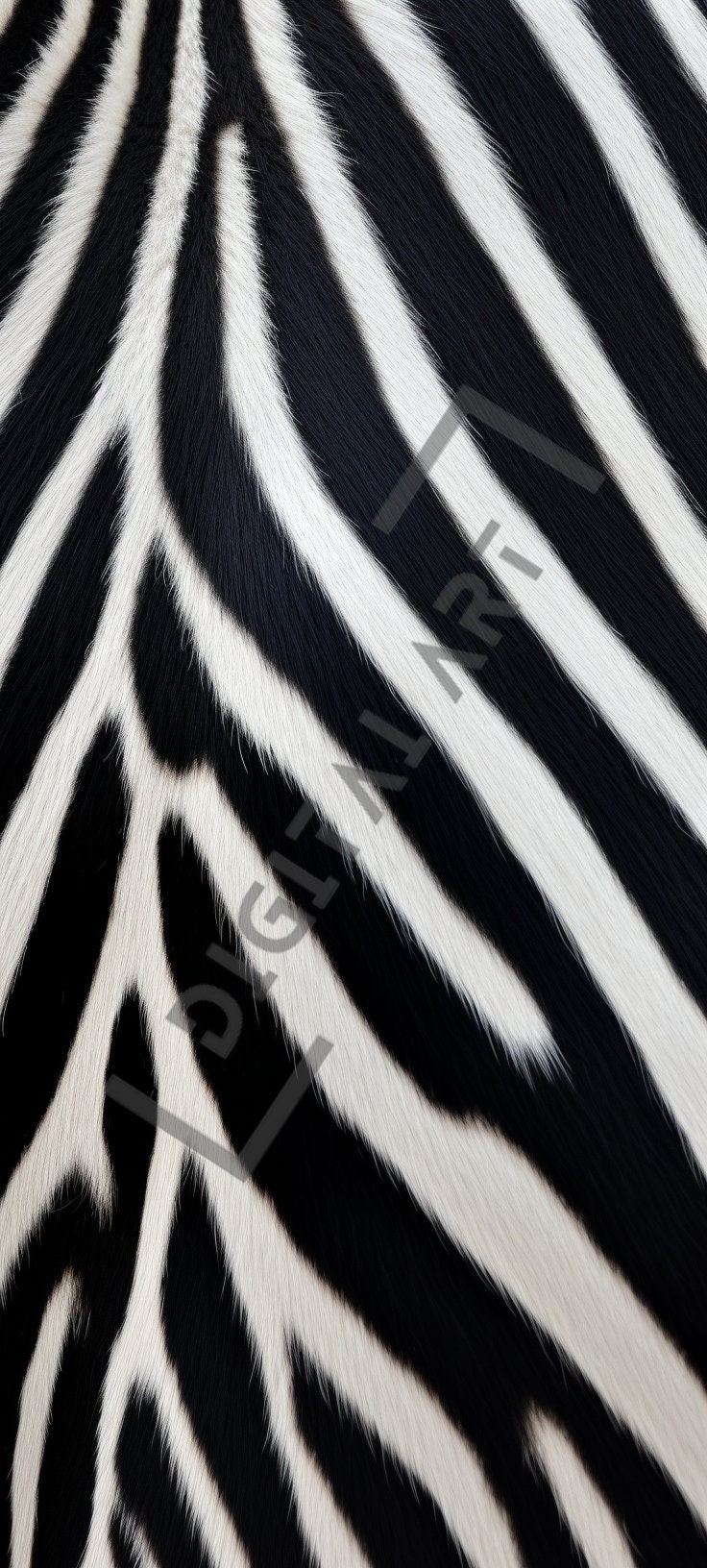 Zebra Backgrounds for Screens Black and White Wallpapers - Etsy