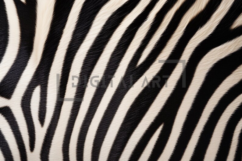 Zebra Backgrounds for Screens Black and White Wallpapers - Etsy