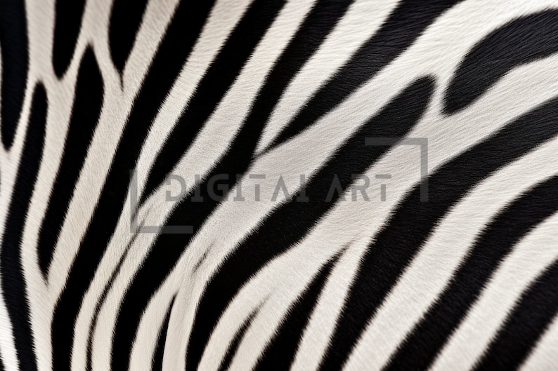 Zebra Backgrounds for Screens Black and White Wallpapers - Etsy