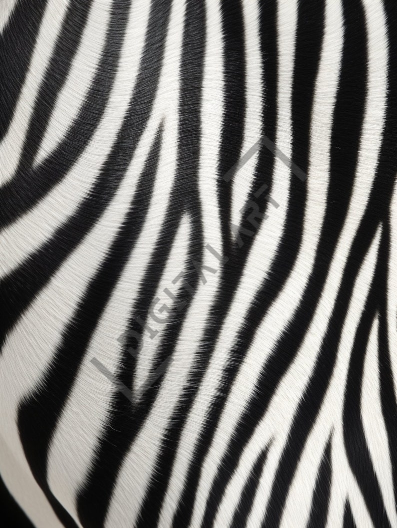 Zebra Backgrounds for Screens Black and White Wallpapers - Etsy