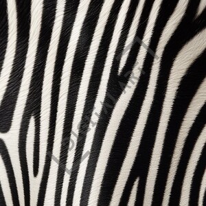 Zebra Backgrounds for Screens Black and White Wallpapers - Etsy