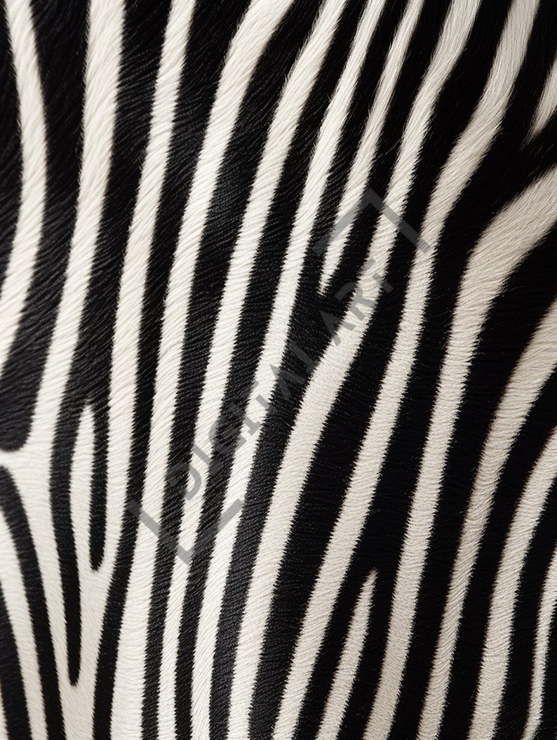 Zebra Backgrounds for Screens Black and White Wallpapers - Etsy