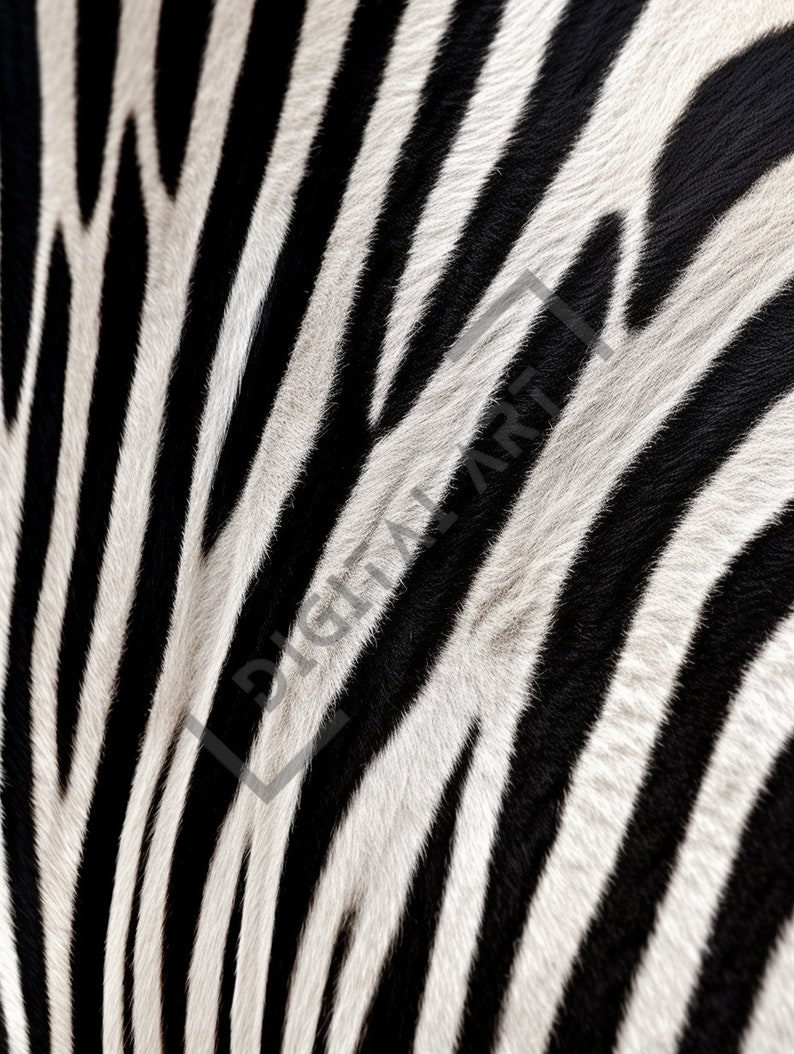 Zebra Backgrounds for Screens Black and White Wallpapers - Etsy