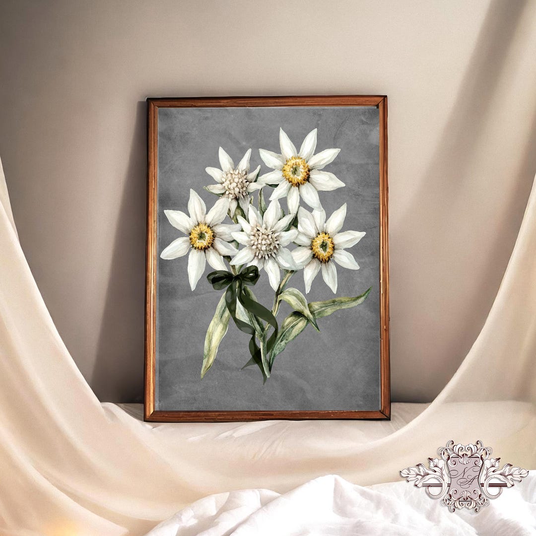 Edelweiss Flower Printable Art, Vintage Floral Wall Decor - Etsy