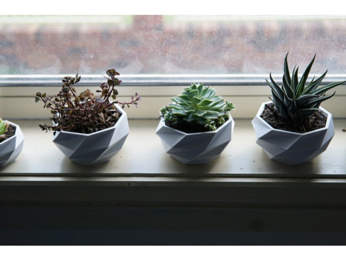 Low Poly Planter Pot | House Planter | Office Planter | Natural Air ...