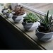 Low Poly Planter Pot | House Planter | Office Planter | Natural Air ...