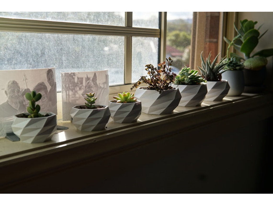 Low Poly Planter Pot | House Planter | Office Planter | Natural Air ...