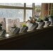Low Poly Planter Pot | House Planter | Office Planter | Natural Air ...