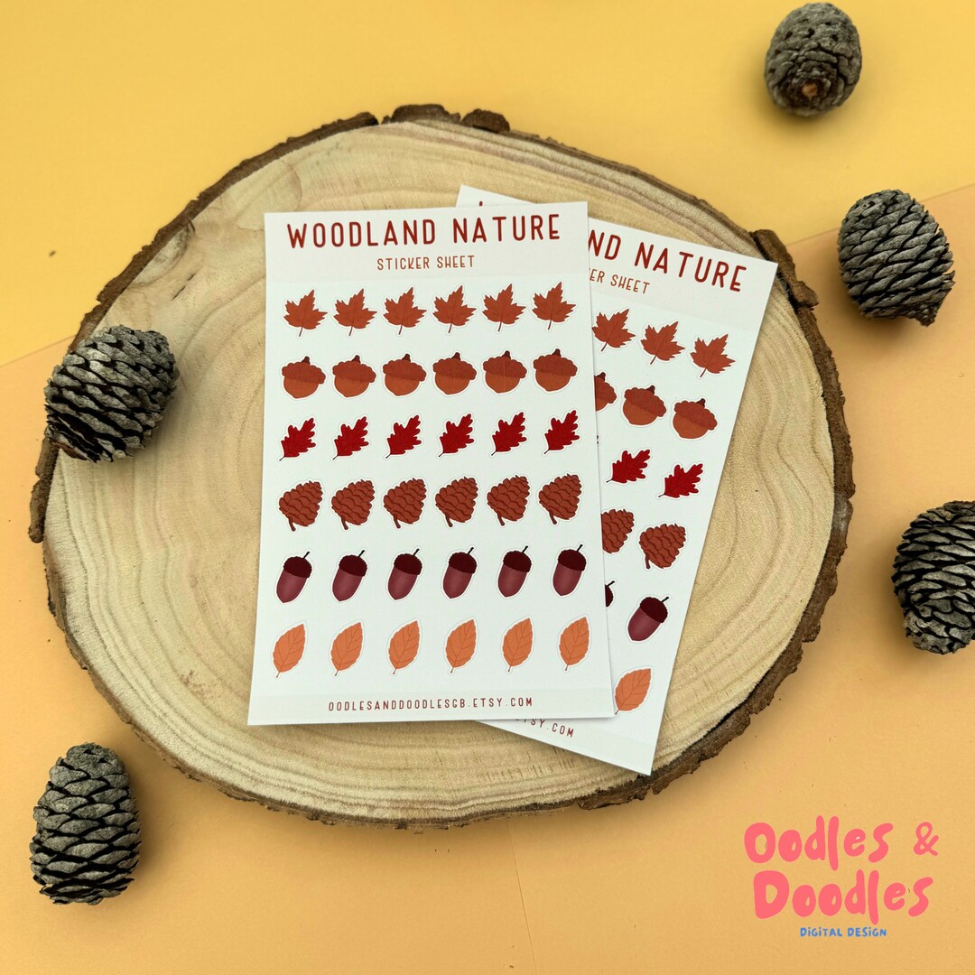 Woodland Nature Stickers: Autumn Leaves, Acorns, Pine Cones - Etsy
