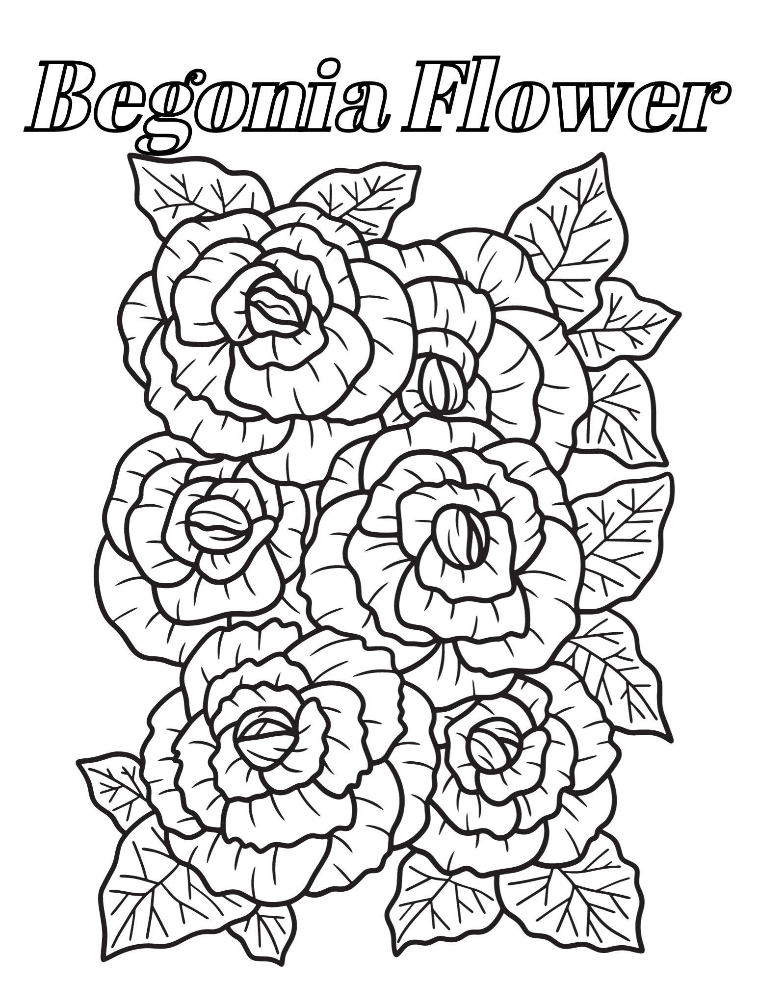5 Printable Types of Flower Coloring Pages for Kids and Adult DIGITAL ...
