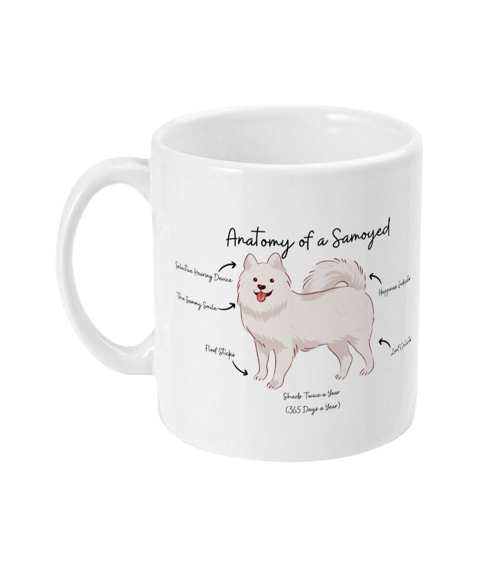 Anatomy of a Samoyed - Etsy