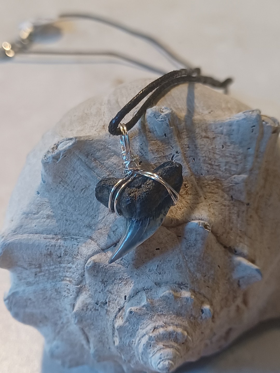 Sifted Tiger Shark Tooth Necklace From Calvert Cliffs, Maryland - Etsy