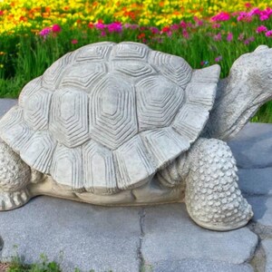 Massive Box Turtle Figurine Detailed Box Turtle Statue Wild Animal ...