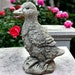 Detailed Duckling Garden Statue Concrete Duck on Base Figure Outdoor ...