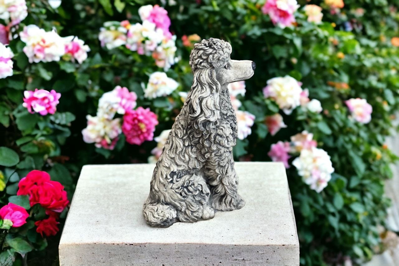 Stone Poodle Dog Figurine Concrete Poodle Dog Statue Outdoor Pet ...