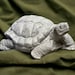 Large Turtle Box Statue Concrete Turtle Figure Massive Concrete Turtle ...
