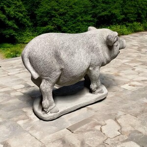 Standing Pig Statue Massive Potbelly Sculpture Concrete Pig on Base ...