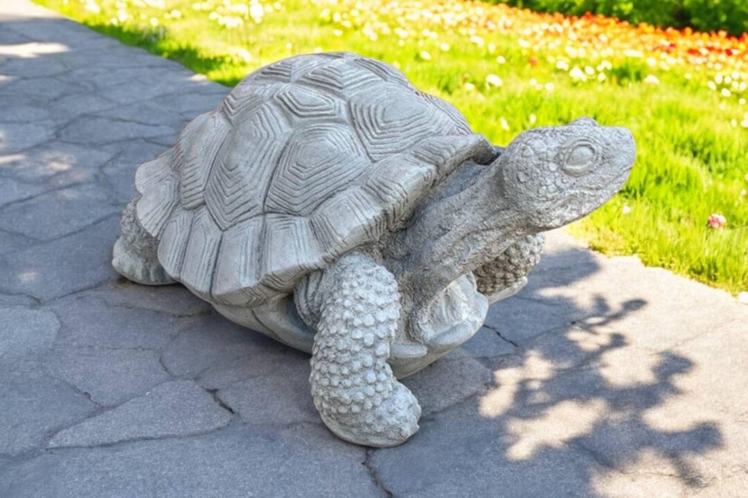 Massive Box Turtle Figurine Detailed Box Turtle Statue Wild Animal ...