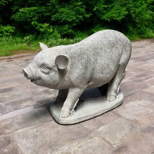 Standing Pig Statue Massive Potbelly Sculpture Concrete Pig on Base ...