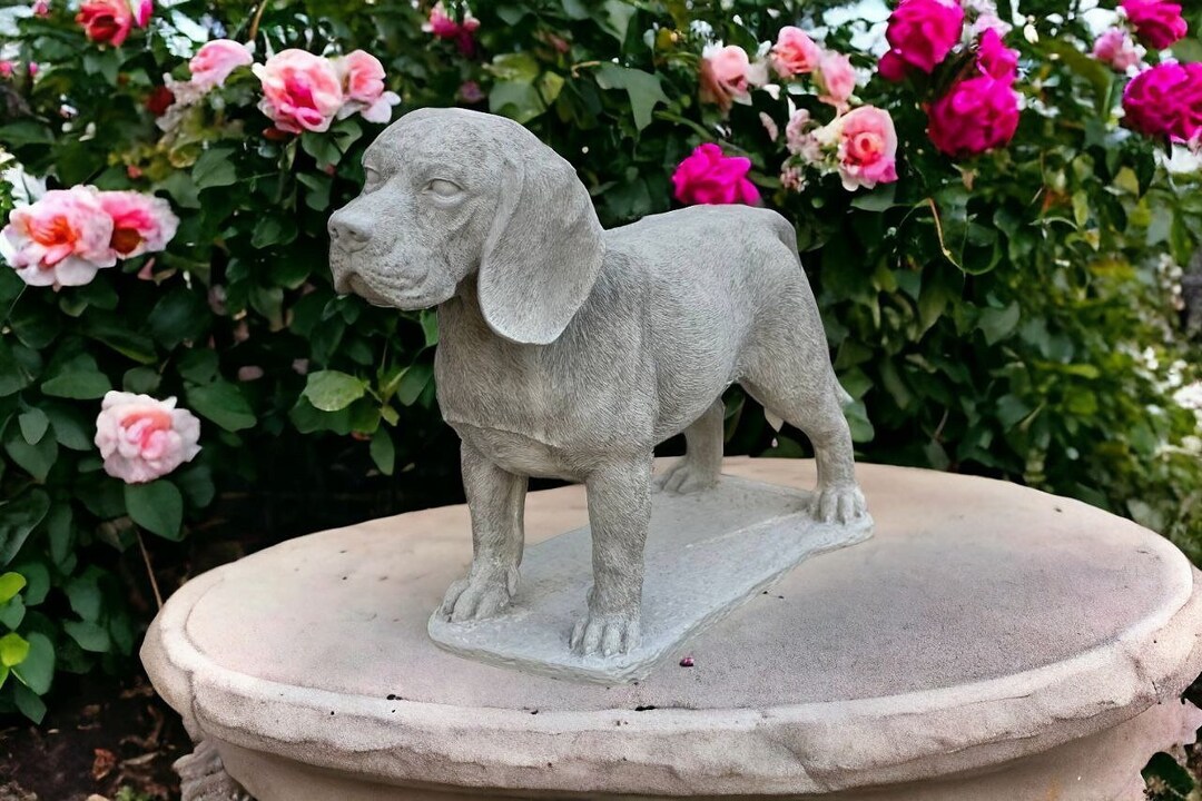 Garden Beagle Dog Statue Detailed Standing Beagle on Base Large Beagle ...