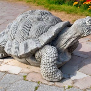 Massive Box Turtle Figurine Detailed Box Turtle Statue Wild Animal ...