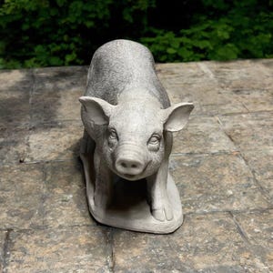 Standing Pig Statue Massive Potbelly Sculpture Concrete Pig on Base ...