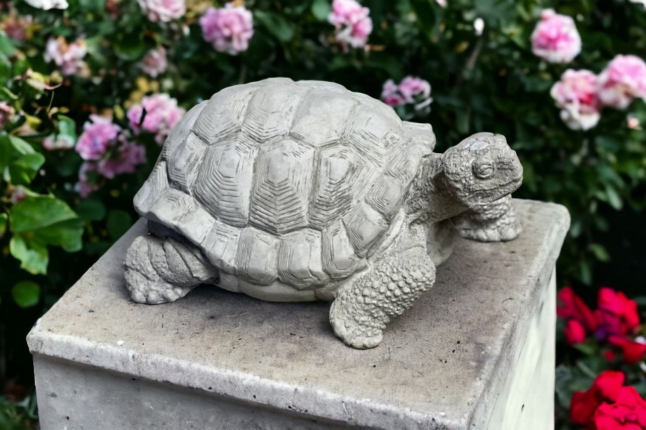 Massive Detailed Turtle Statue Concrete Outdoor Turtle Statuary Cement ...