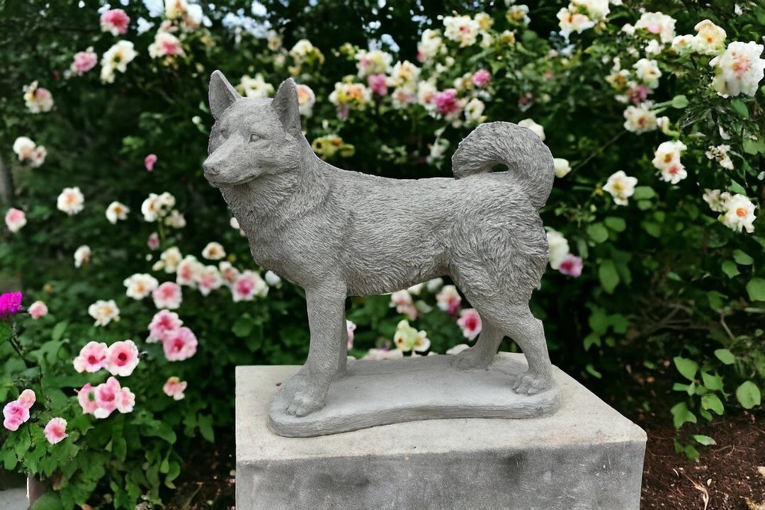 Standing Siberian Husky on Base Figure Concrete Large Siberian Husky ...