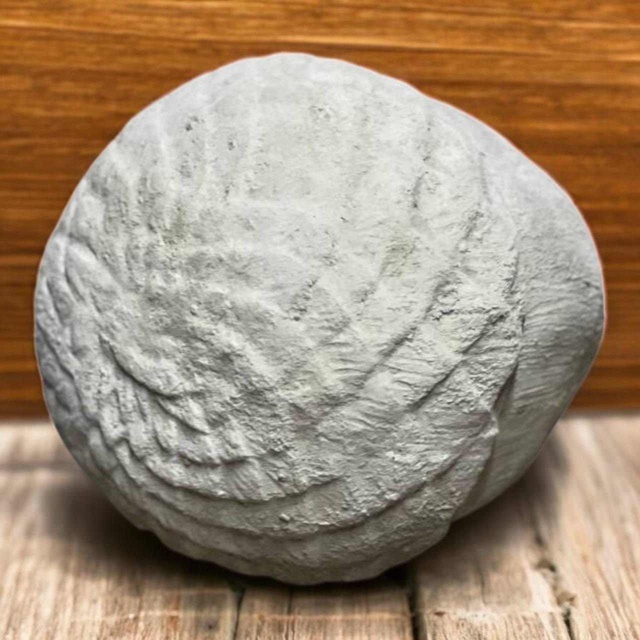 Detailed Acorn Statue Forest Acorn Sculpture Wild Nut Figure Realistic ...