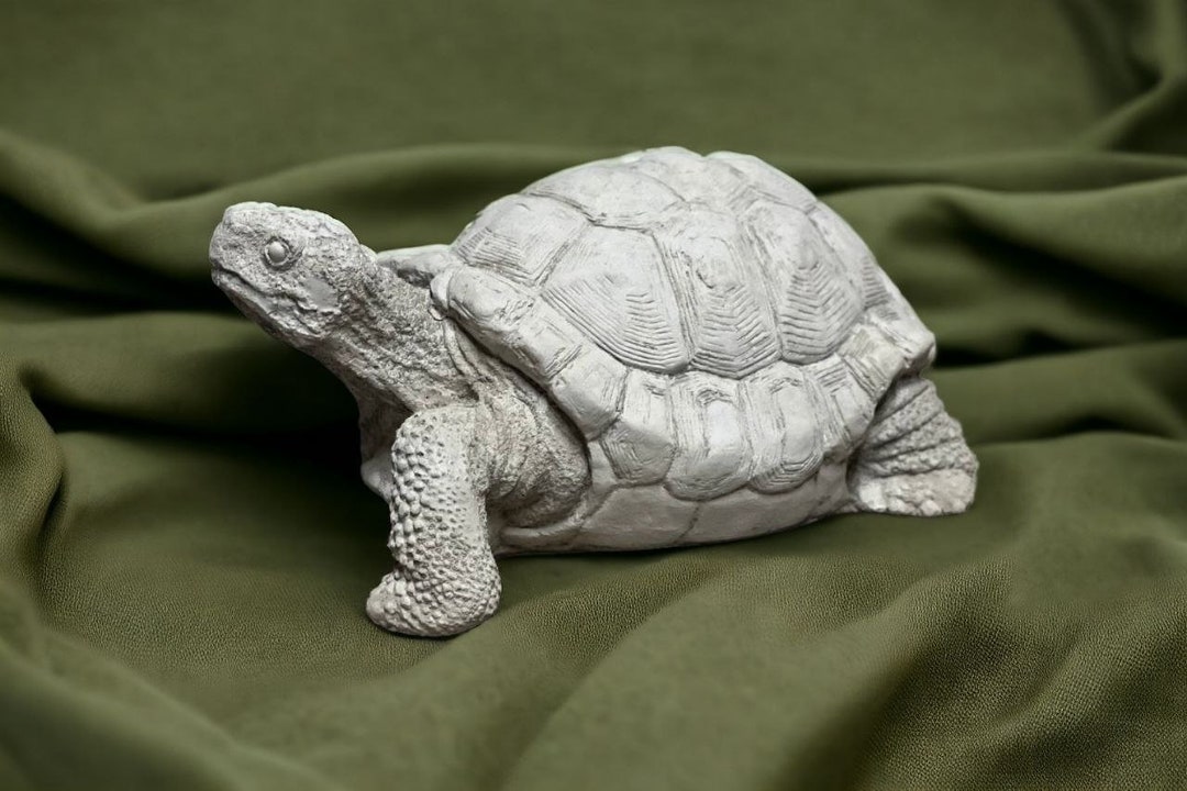 Large Turtle Box Statue Concrete Turtle Figure Massive Concrete Turtle ...