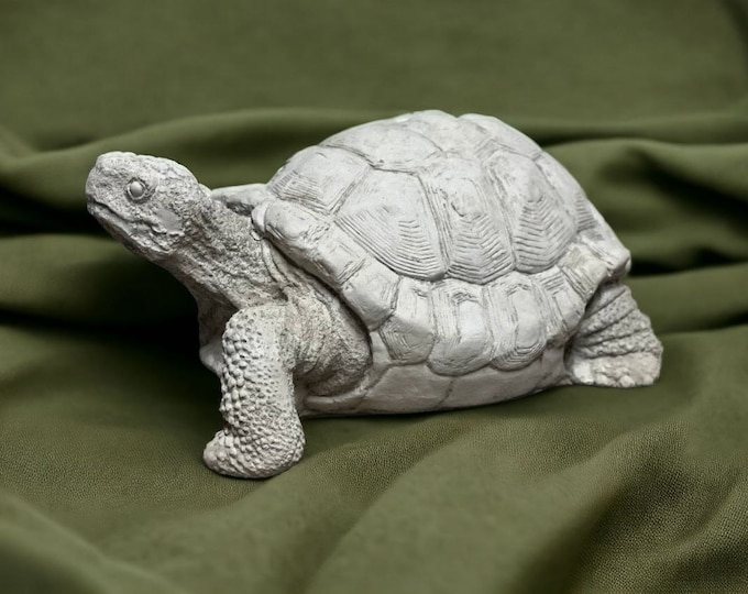 Small Green Turtle - Etsy