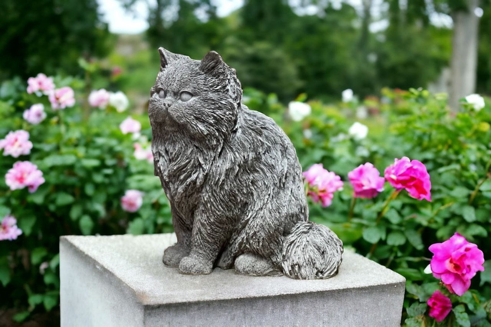 Himalayan Cat Concrete Sitting Kitten Statue Cat Lovers Gift Sculpture ...