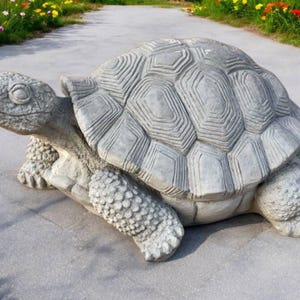 Massive Box Turtle Figurine Detailed Box Turtle Statue Wild Animal ...