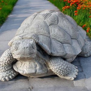 Massive Box Turtle Figurine Detailed Box Turtle Statue Wild Animal ...