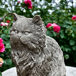 Himalayan Cat Concrete Sitting Kitten Statue Cat Lovers Gift Sculpture ...
