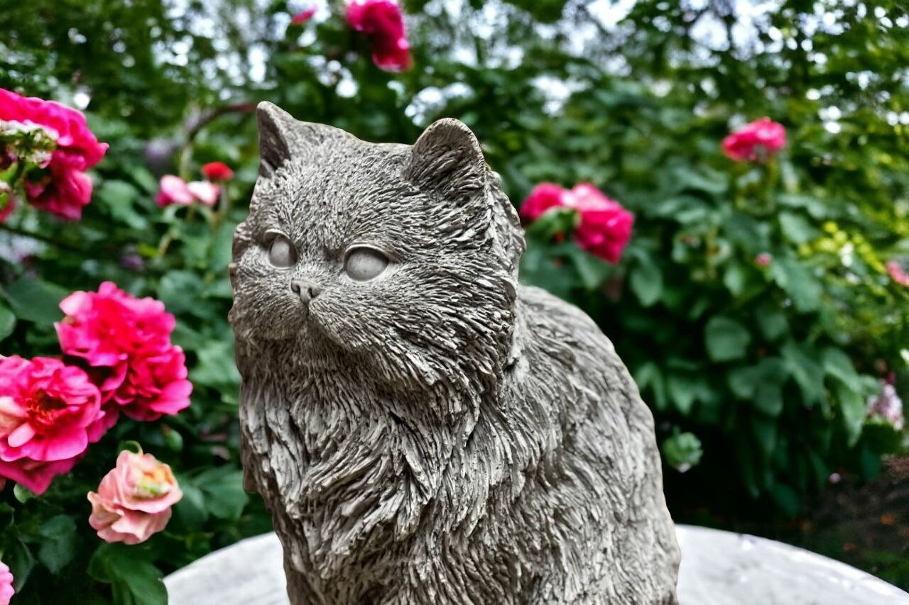 Himalayan Cat Concrete Sitting Kitten Statue Cat Lovers Gift Sculpture ...