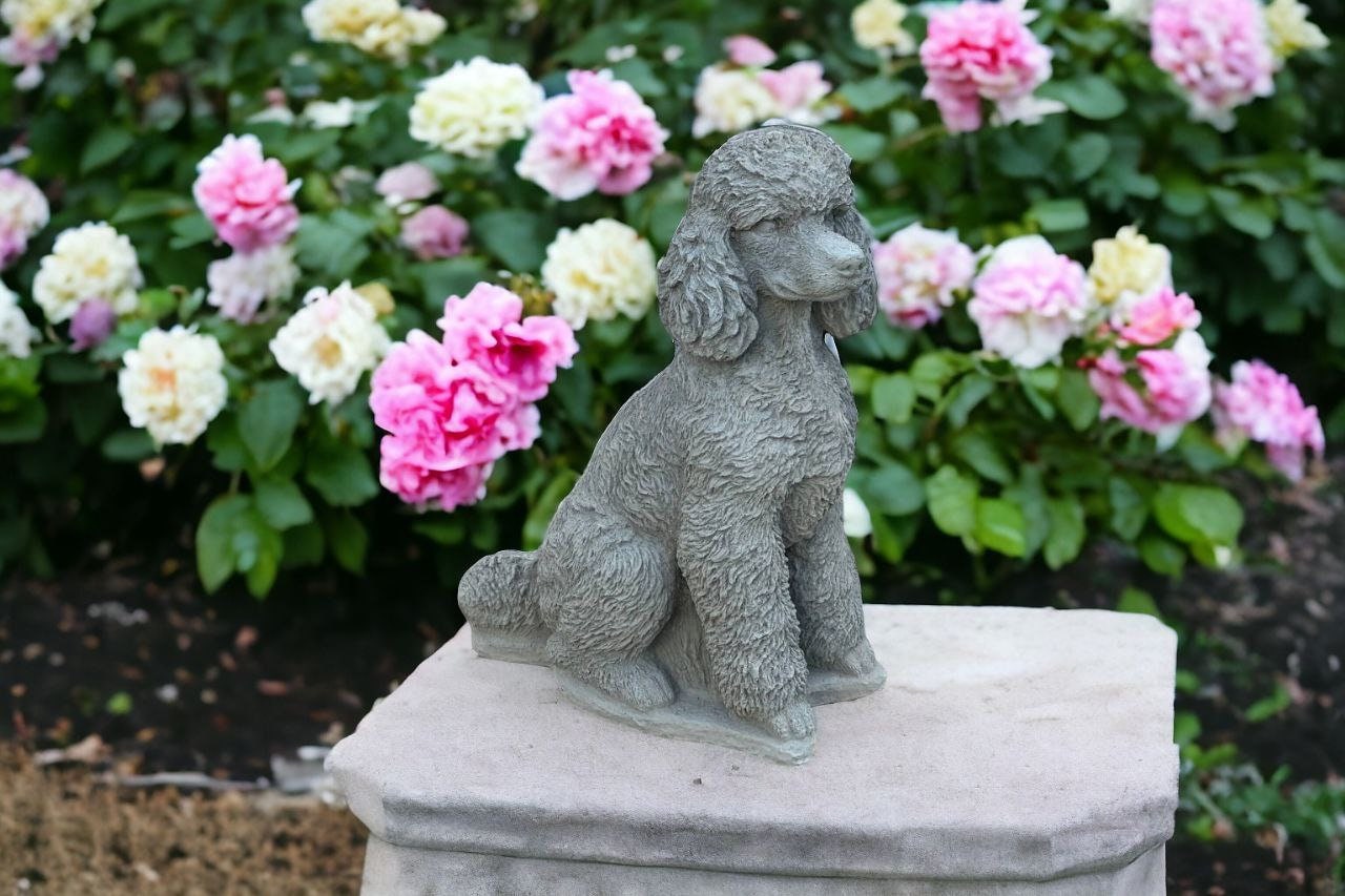 Realistic Poodle Dog Figure Sitting Poodle Puppy Statue Backyard Dog ...