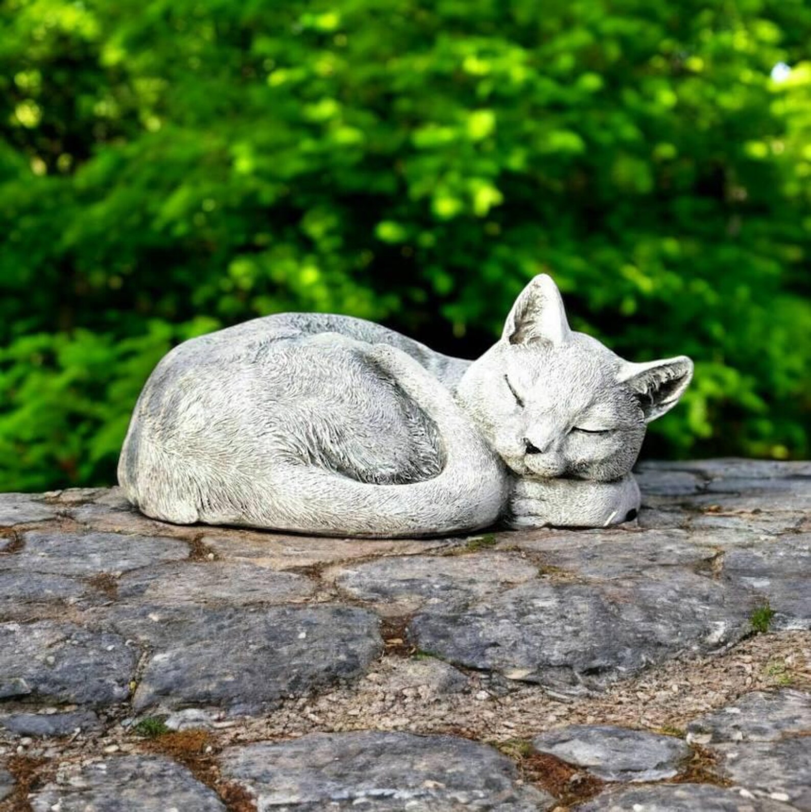 Curled up Kitten Statue Concrete Cat Sculpture Detailed Cat Figurine ...