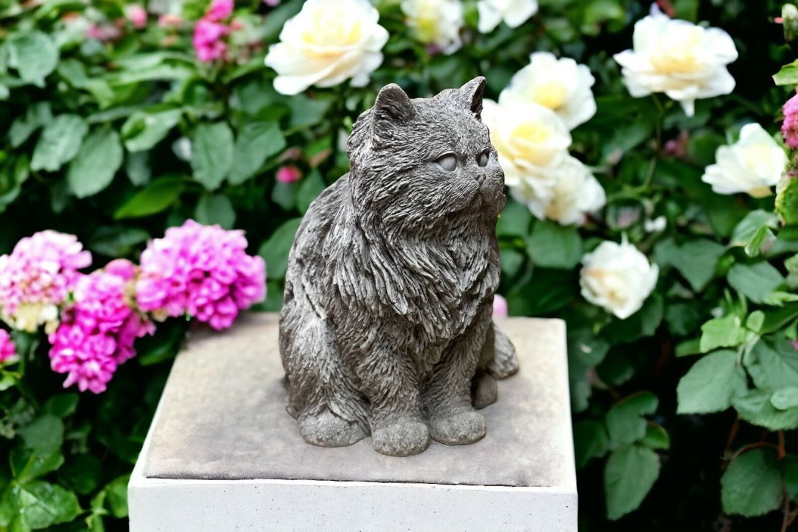Himalayan Cat Concrete Sitting Kitten Statue Cat Lovers Gift Sculpture ...