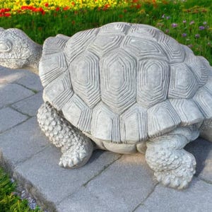 Massive Box Turtle Figurine Detailed Box Turtle Statue Wild Animal ...