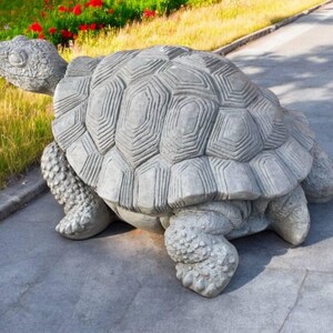 Massive Box Turtle Figurine Detailed Box Turtle Statue Wild Animal ...